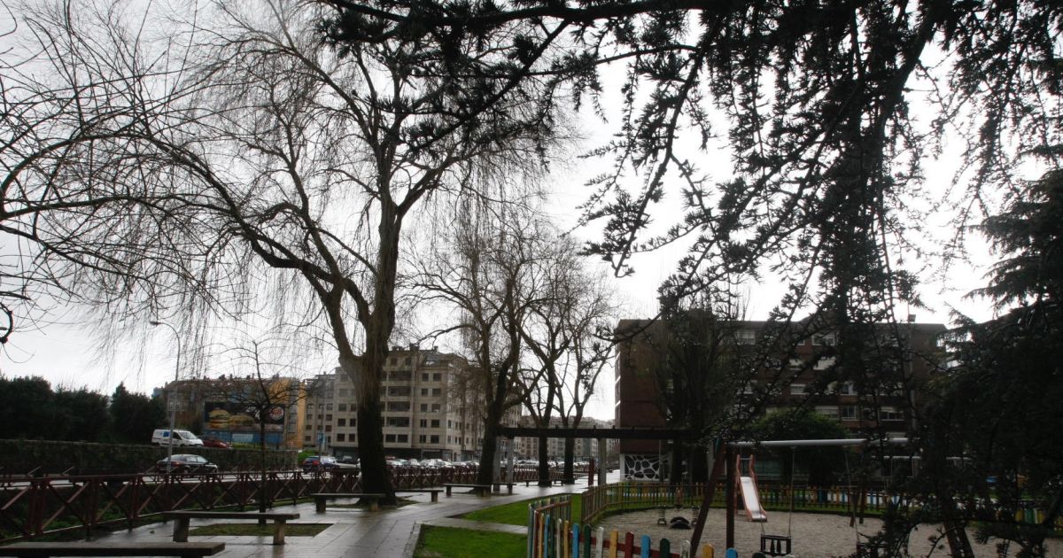 Su mal estado obliga a talar seis árboles en el parque Celso Emilio ...