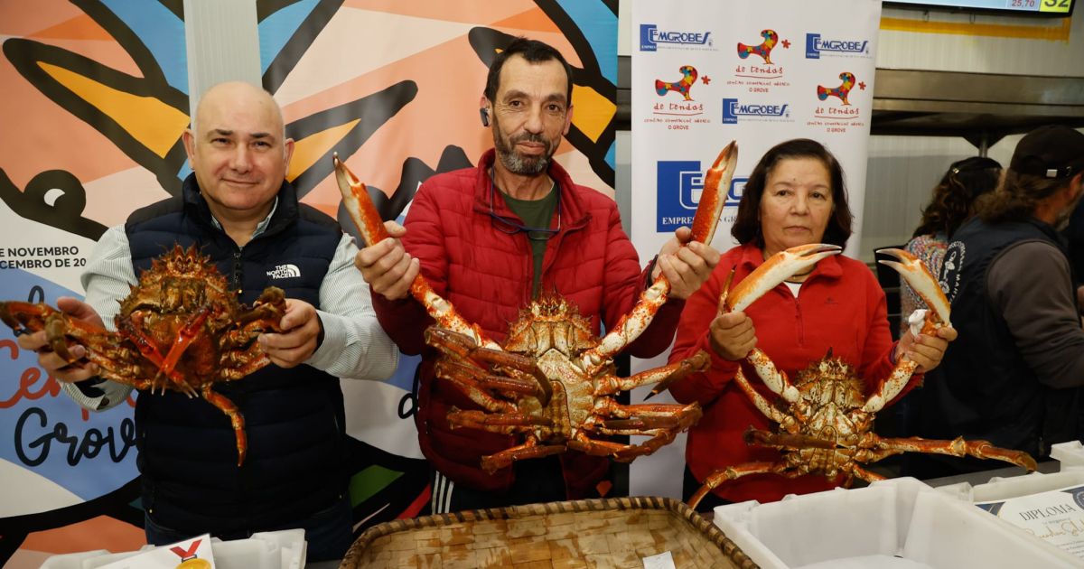 O Grove cierra la Festa da Centola con éxito de público y ocupación