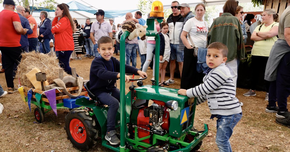 A Festa do Labrego de Vilariño repartirá 950 euros en premios no ...